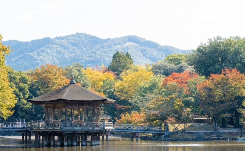 Nara: Private City Tour With A Local Guide - Experiencing Kofuku-Ji Temple and Its Wonders