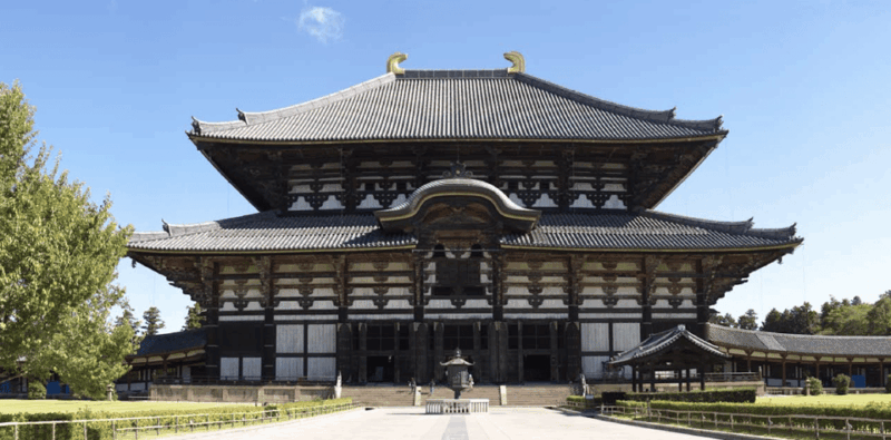 Nara Private Custom Tour With Local Guide - Key Points