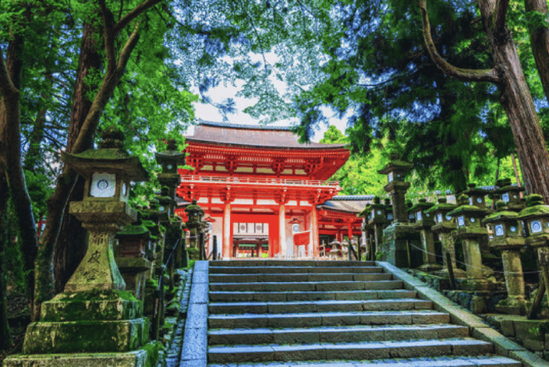 Nara Private Custom Tour With Local Guide - Wander Through Nara Park