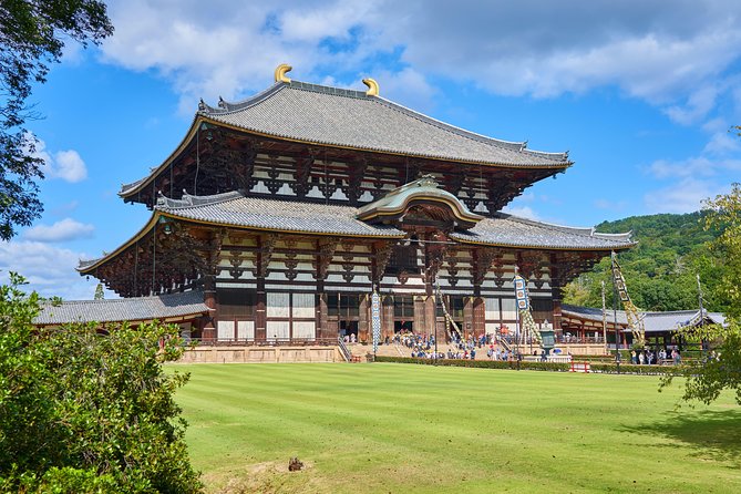 Nara Private Customizable Full Day Tour - Key Points