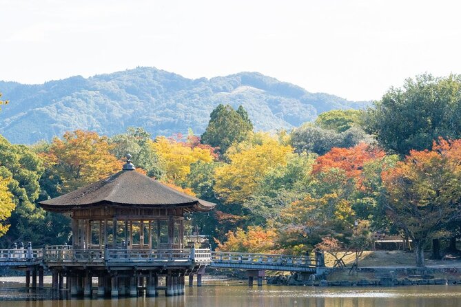 Nara : Private Day Walking Tour (From Osaka/Kyoto Possible) - Reviews and Feedback