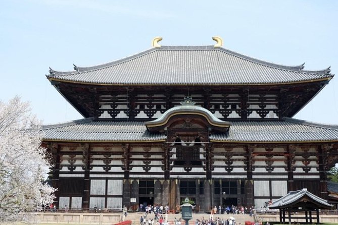 Nara Private Tour by Public Transportation From Osaka - Accessibility