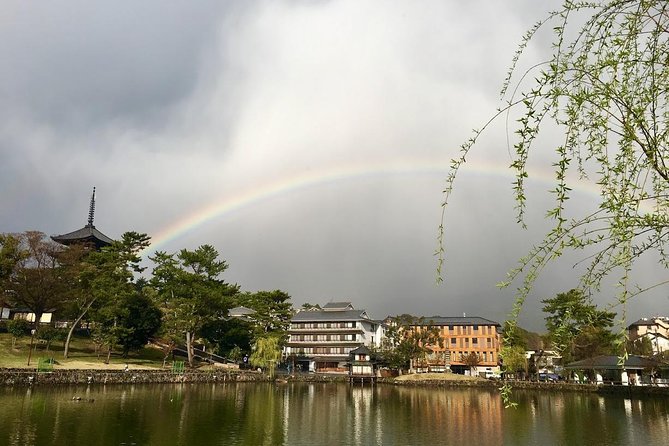 Nara Private Tour (Shore Excursion Available From Osaka or Kobe Port) - Customization Options