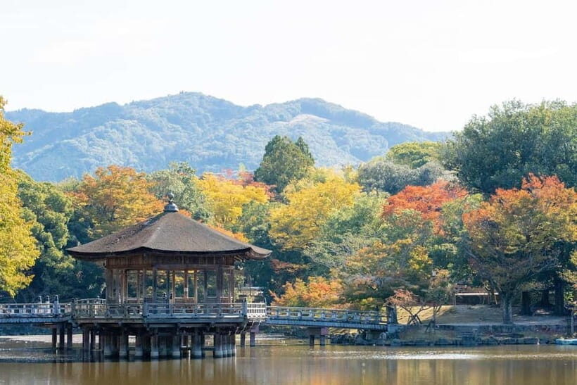Nara: Private Tour with Deer Park and Temples - Frequently Asked Questions
