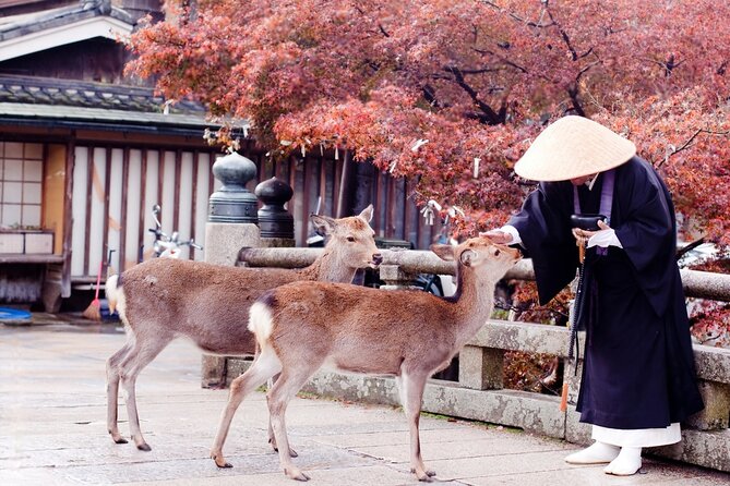 Nara Private Tour With Pick and Drop and English Speaking Driver - Inclusions