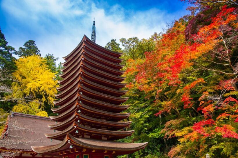 Nara: Private Tour with Private Guide - An Honest Look at the Experience