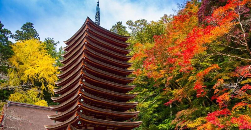 Nara: Private Tour With Private Guide - Kofuku-Ji Temple