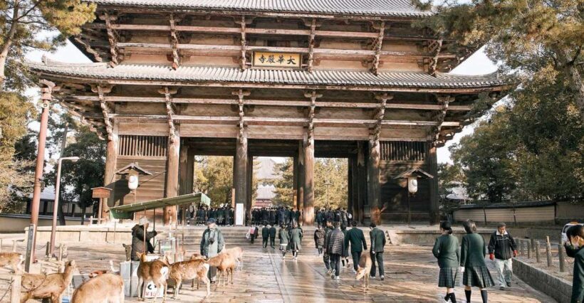 Nara: Private Walking Tour with a Local - An Insider Look at the Tour Experience