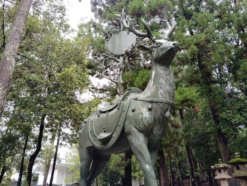 Nara: Sacred Morning Walk with Deer in the Mist - Who Will Love This Tour
