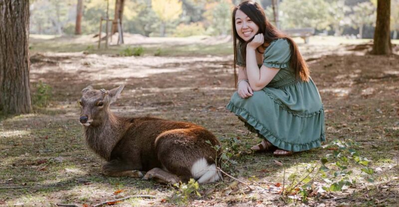 Nara Serenity: Memories Among Deer and Temples - Key Points