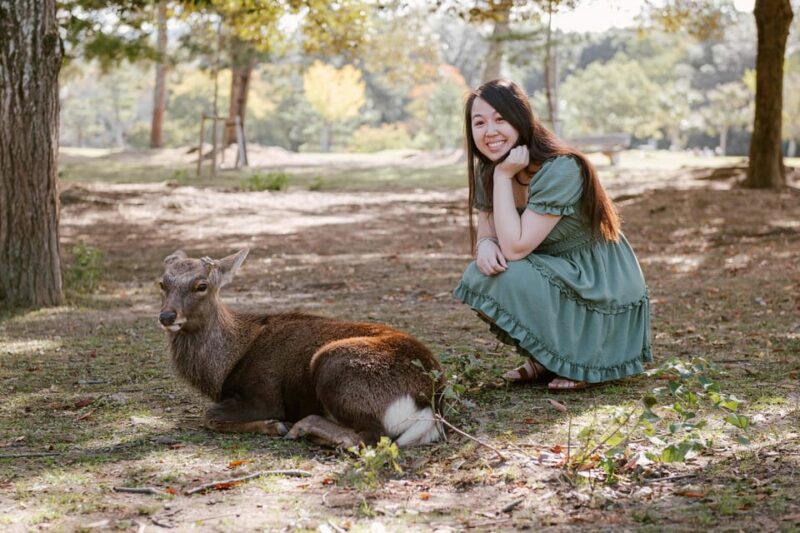 Nara Serenity: Memories Among Deer and Temples - Interacting With the Friendly Deer