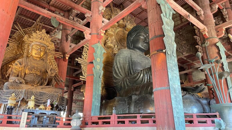 Nara: Todaiji, Kasuga and Nara Park (PRIVATE Group) - Visiting Nara Park