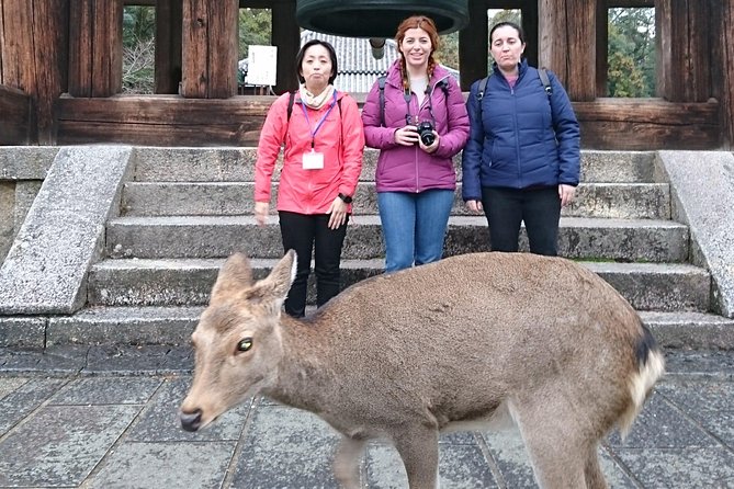 Nara Todaiji Lazy Bird Walking Tour - Experiencing the Tranquility of Sake Brewery