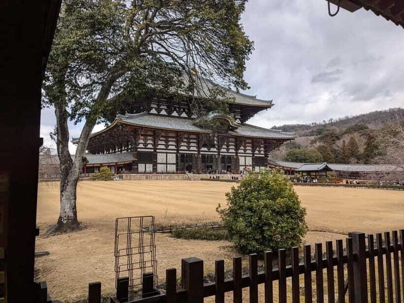 Nara: UNESCO Heritage Sites & Deer Park Tour with Pro guide - FAQs