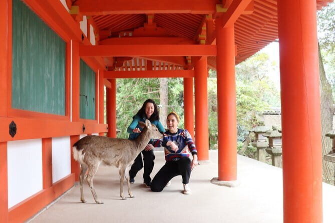 Nara UNESCO World Heritage Sites Slow Cycling Tour - Authentic Experiences and Genuine Value