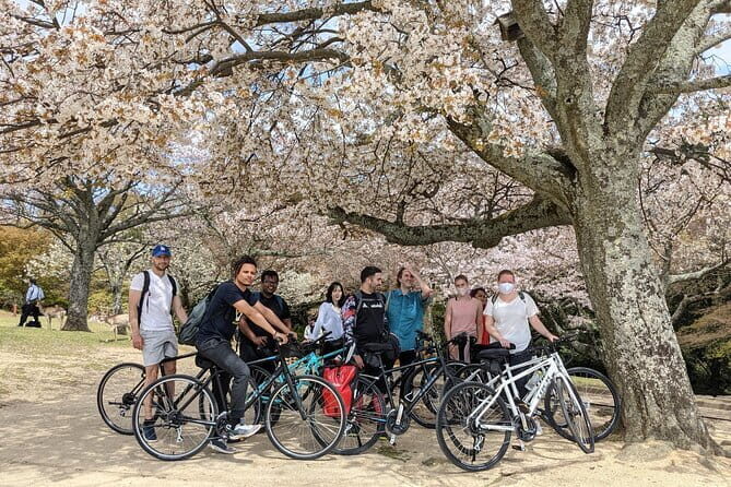 Nara UNESCO World Heritage Sites Slow Cycling Tour - Who Should Consider This Tour?
