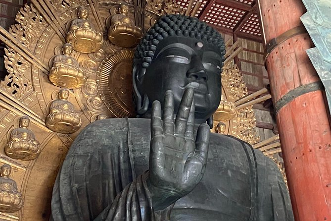 NARA Walking Tour [Customize Your Itinerary] - Inclusion and Exclusion