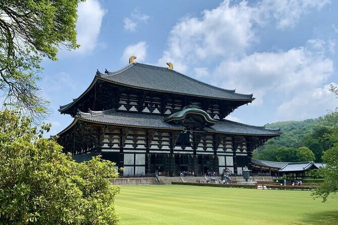 Nara With a Licensed Guide - Overview of the Nara Guided Tour