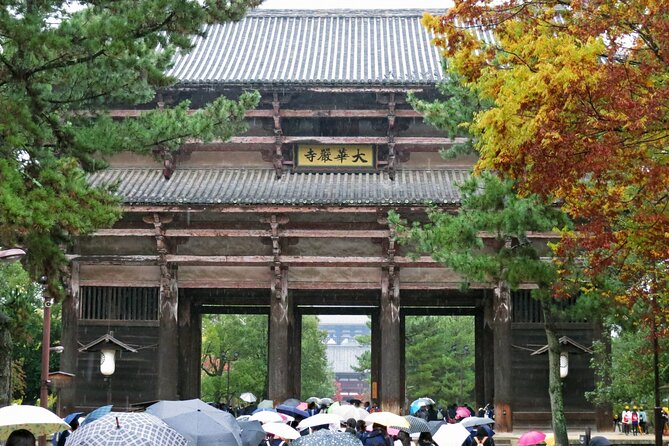 Nara World Heritage PRIVATE TOUR - Accessibility and Transportation