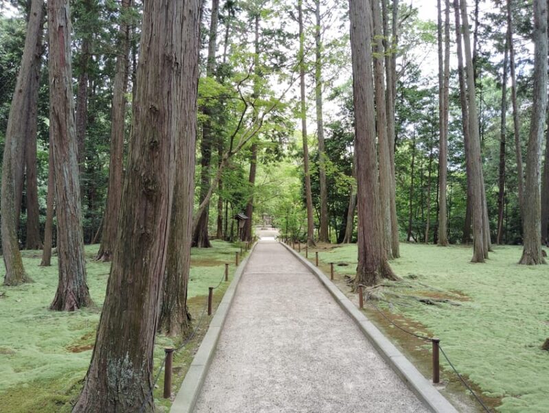 Nara: World Heritage Yakushi-ji & Toshodai-ji in 3 Hours - Key Points