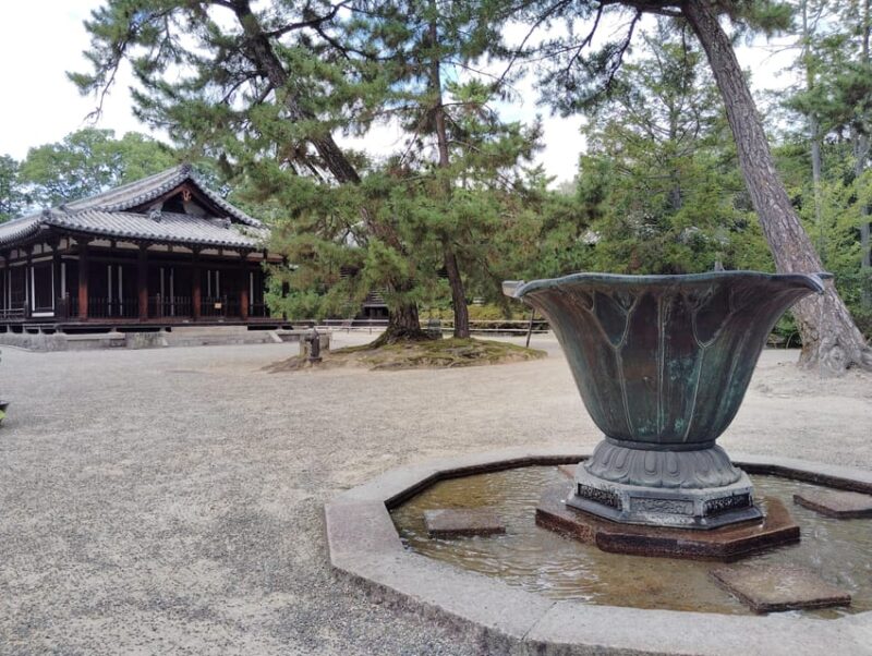 Nara: World Heritage Yakushi-ji & Toshodai-ji in 3 Hours - Cancellation and Flexibility