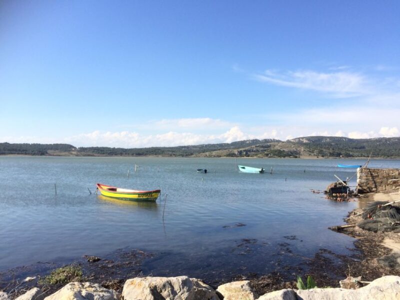 Narbonne, Gruissan & Lagrasse village . Day tour - The Sum Up