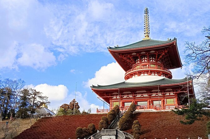 Narita Layover Tour With National Licensed Guide - Experiencing Japanese Cuisine