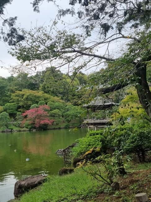 NARITA: Walking Tour, Omotesando street, Narita-san Temple - Why This Tour Offers Real Value