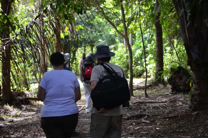 Nariva Swamp: Monkey Viewing Experience - Who Should Consider This Tour?