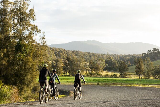 Narooma - E-Bike Hire 2 Hour Rental - Practical Tips for Your E-Bike Adventure