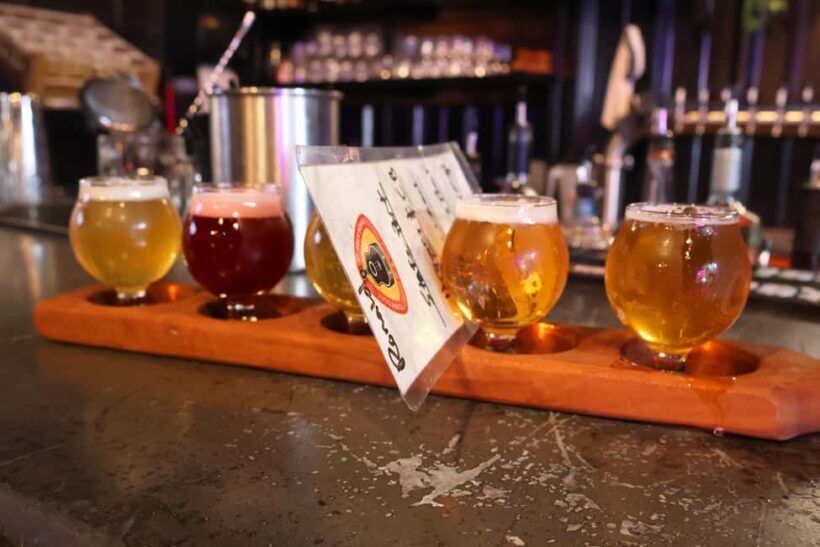Nashville: Beer, BBQ, and Bourbon Bus Tour - Who Will Enjoy This Tour the Most?