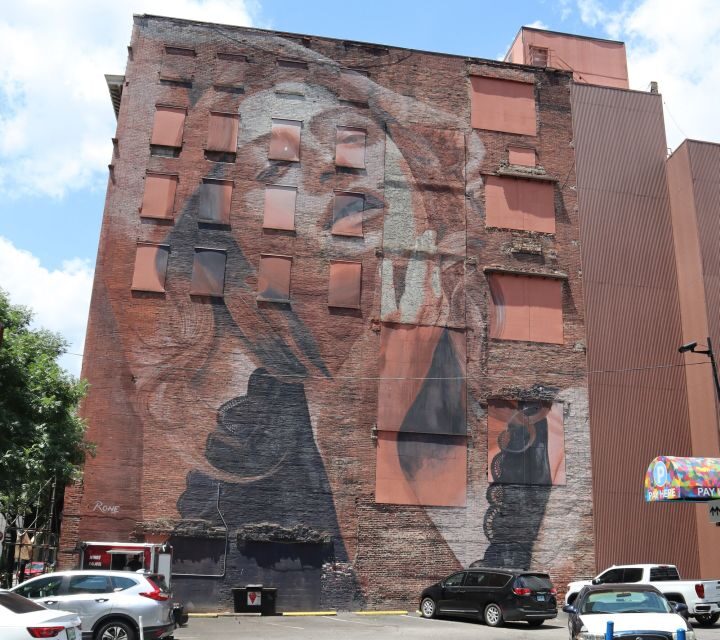 Nashville: Downtown Walking Tour - The Sum Up