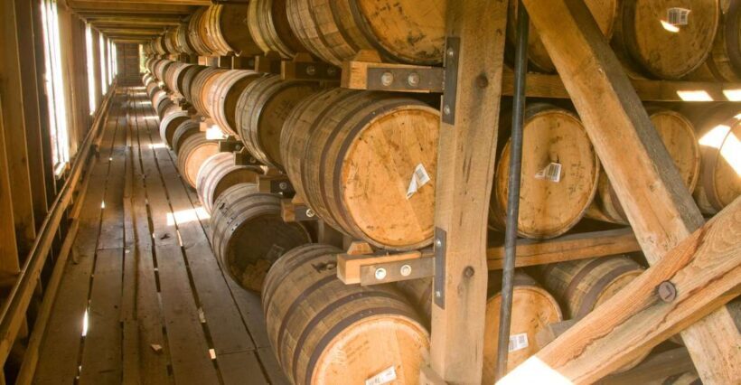 Nashville: Jack Daniel Distillery Day Trip with Tastings - Price & Value