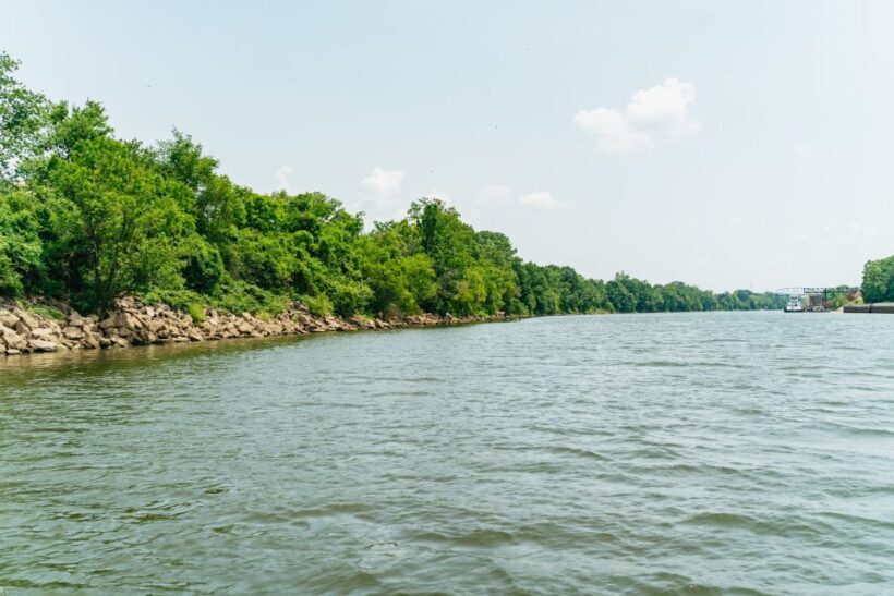 Nashville: Pontoon Party Cruise with a Captain - Authentic Experiences and Guest Feedback