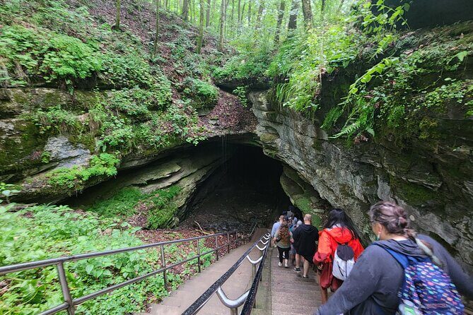 Nashville to Kentucky Caves & Kangaroos: A Day of Enchantment - Price and Value