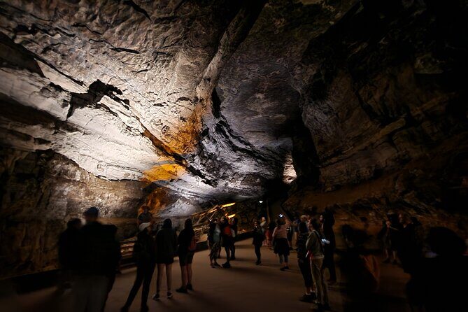 Nashville to Kentucky Caves & Kangaroos: A Day of Enchantment - Authentic Experiences and Highlights