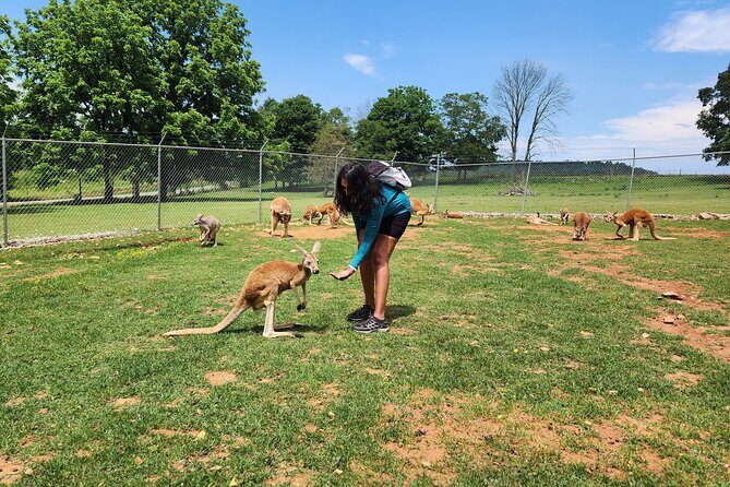 Nashville to Kentucky Caves & Kangaroos: A Day of Enchantment - Who Is This Tour Best For?