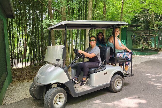Nashville to Kentucky Caves & Kangaroos: A Day of Enchantment - The Sum Up