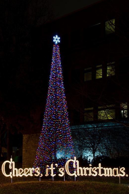 Nashvilles Holiday Harmony: A Christmas Melody Tour - Who Should Consider This Tour?