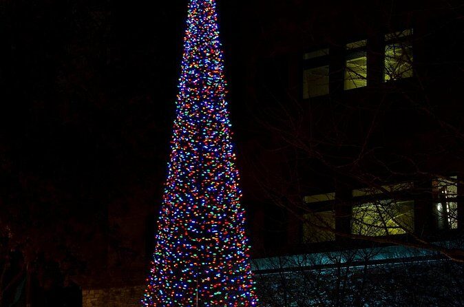 Nashvilles Holiday Harmony: A Private Christmas Melody Tour - Authentic Traveler Feedback
