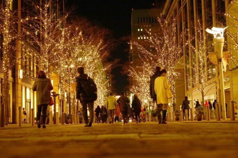 Nashvilles Holiday Harmony: A Private Christmas Melody Tour - An In-Depth Look at Nashvilles Holiday Harmony