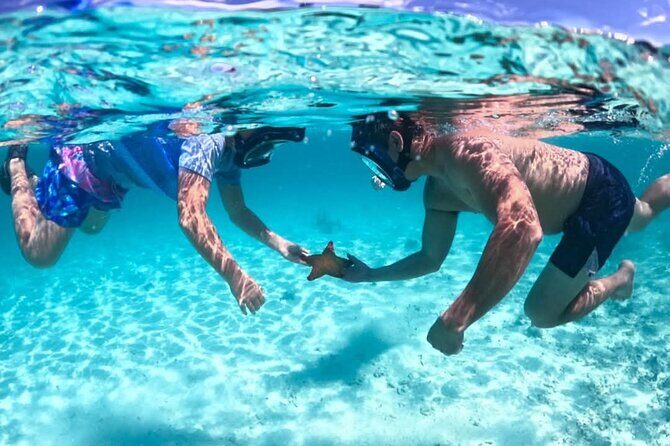 Nassau: 3 islands Pigs,Turtles,Snorkel & Beach Club with lunch - An In-Depth Look at the Nassau Islands Tour