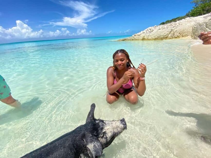 Nassau: 3 Islands Tour, Snorkel, Pig Beach, Turtles & Lunch - Key Points