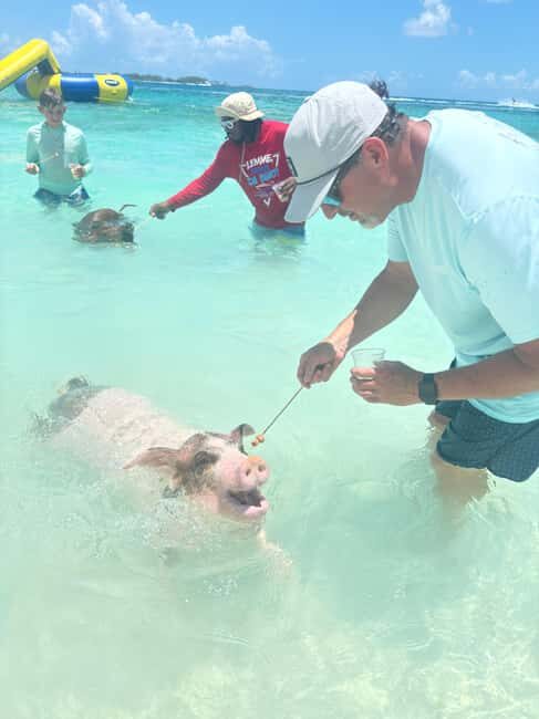Nassau: 4-Island Tour Swimming Pigs, turtles, snorkeling - Nassau: 4-Island Tour Swimming Pigs, Turtles, Snorkeling