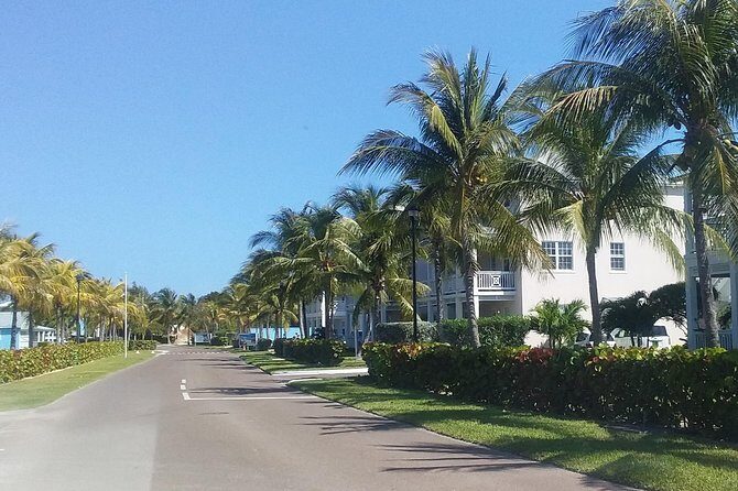 Nassau Airport to Palm Cay - group transportation in comfort - What to Expect During the Ride