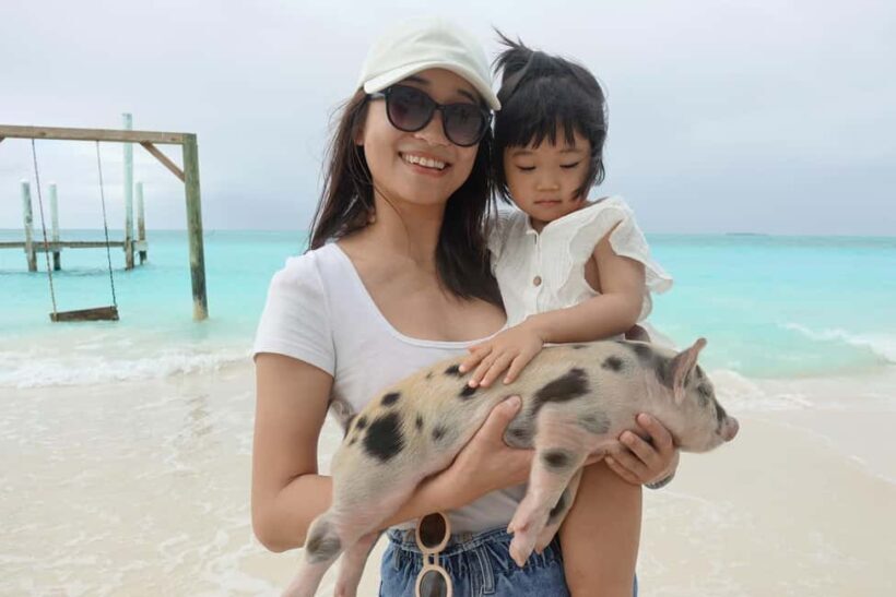 Nassau ATV & Swimming Pigs Tour - What You Can Expect from the Nassau ATV & Swimming Pigs Tour