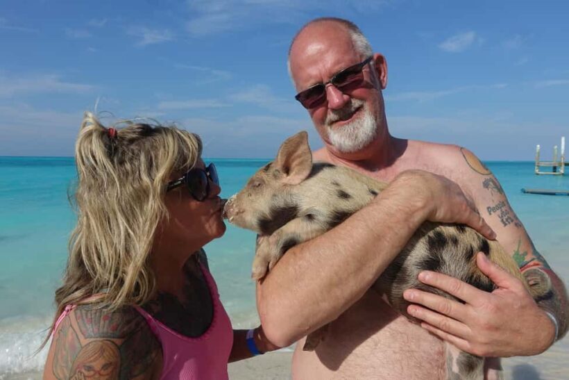 Nassau ATV & Swimming Pigs Tour - The Experience’s Highlights and Authenticity
