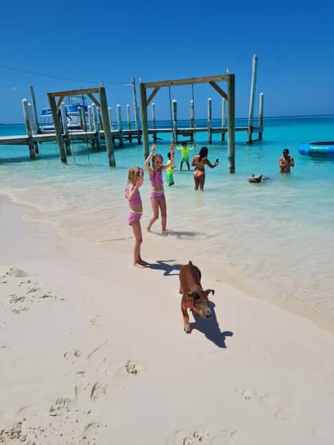 Nassau ATV & Swimming Pigs Tour - The Sum Up: The Right Choice for Adventurous Spirits