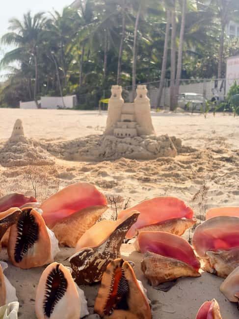 Nassau Bahamas: Sandcastle Sculpting Beach Activity & Picnic - Highlights and Drawbacks