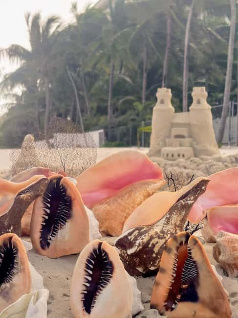 Nassau Bahamas: Sandcastle Sculpting Beach Activity & Picnic - Final Thoughts: Who Will Love This?